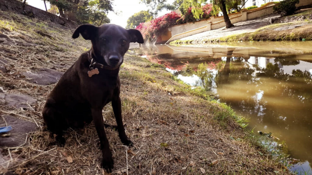 Finding a Connection to Nature in Urban Areas | Association of Nature ...