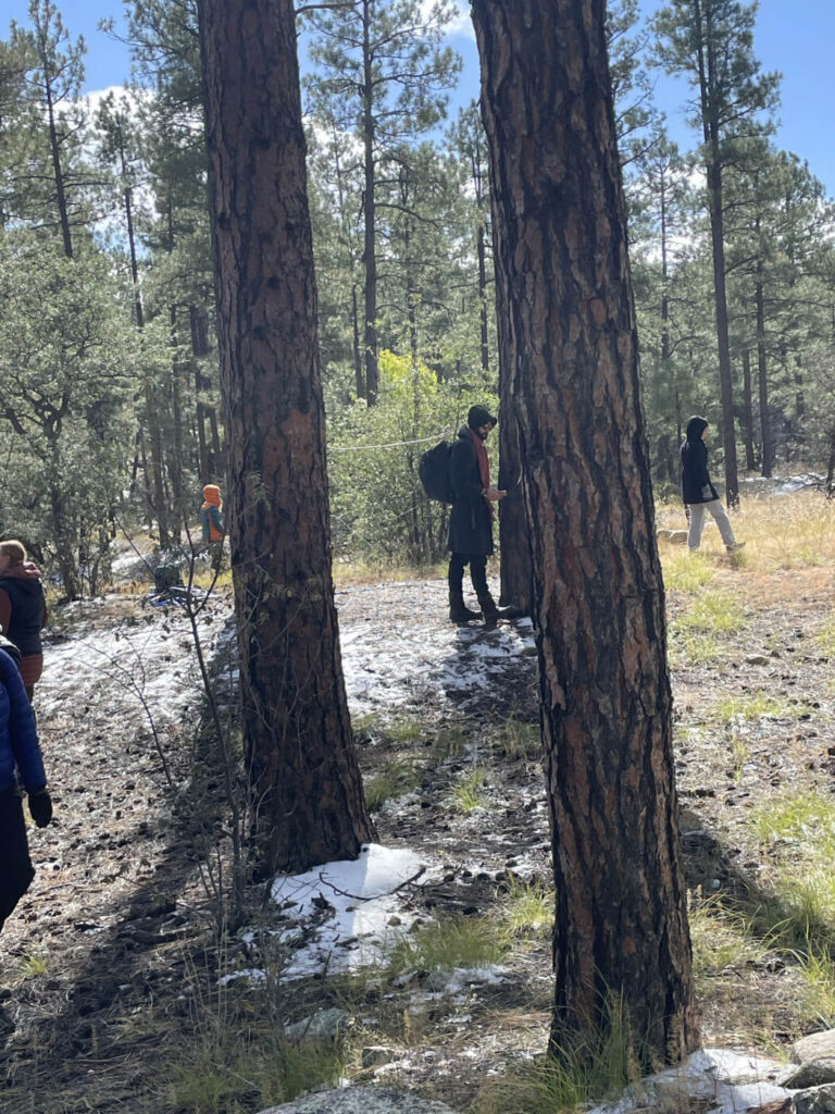 “What’s in Motion?” Invitation in a Magical Forest | Association of ...