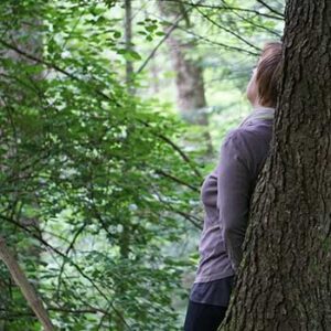 Forest Therapy Guide Certification | Forest Bathing Training