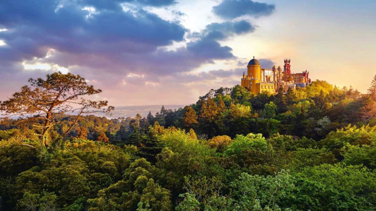 Portugal, Sintra - Floresta Encantada - August 2024 | Association of ...