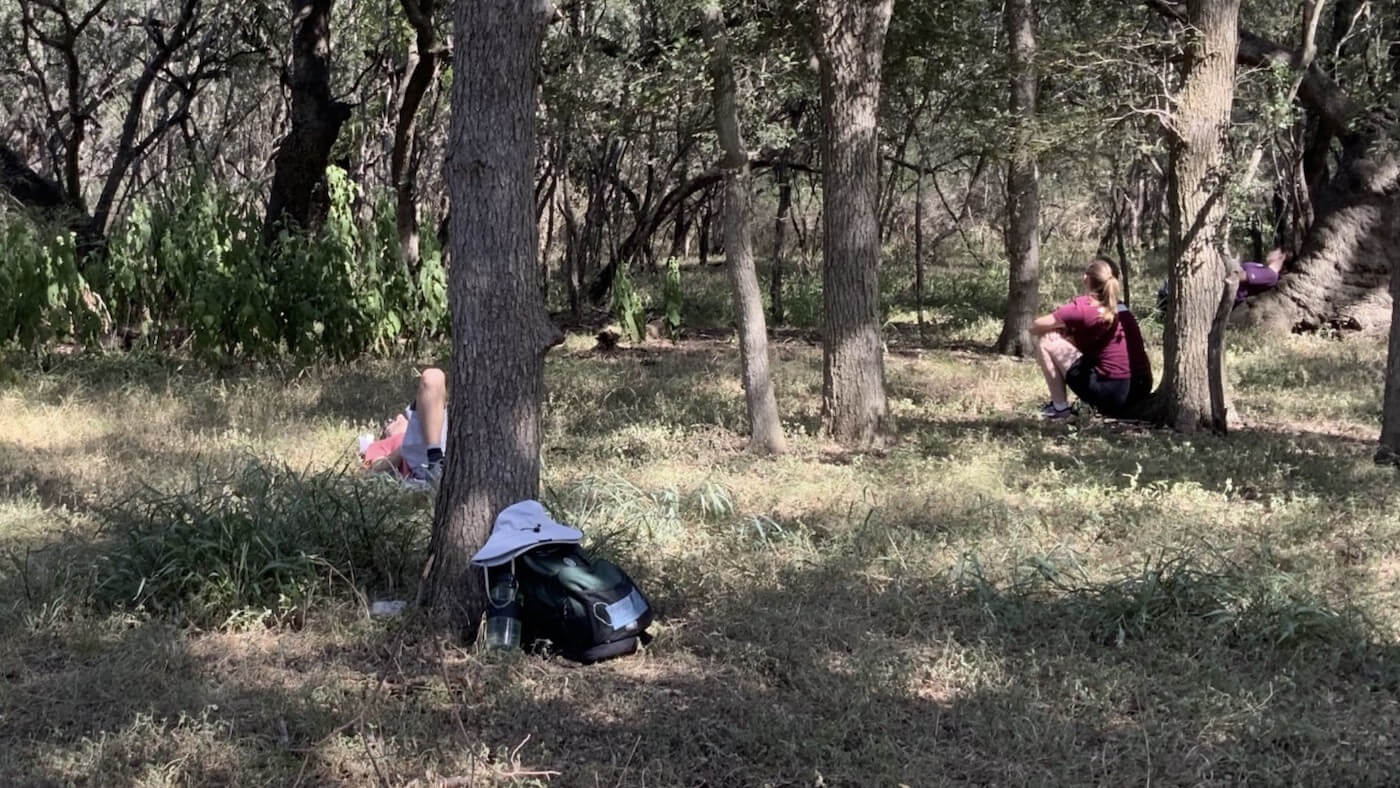 Improving Well-being with Forest Bathing on a College Campus ...