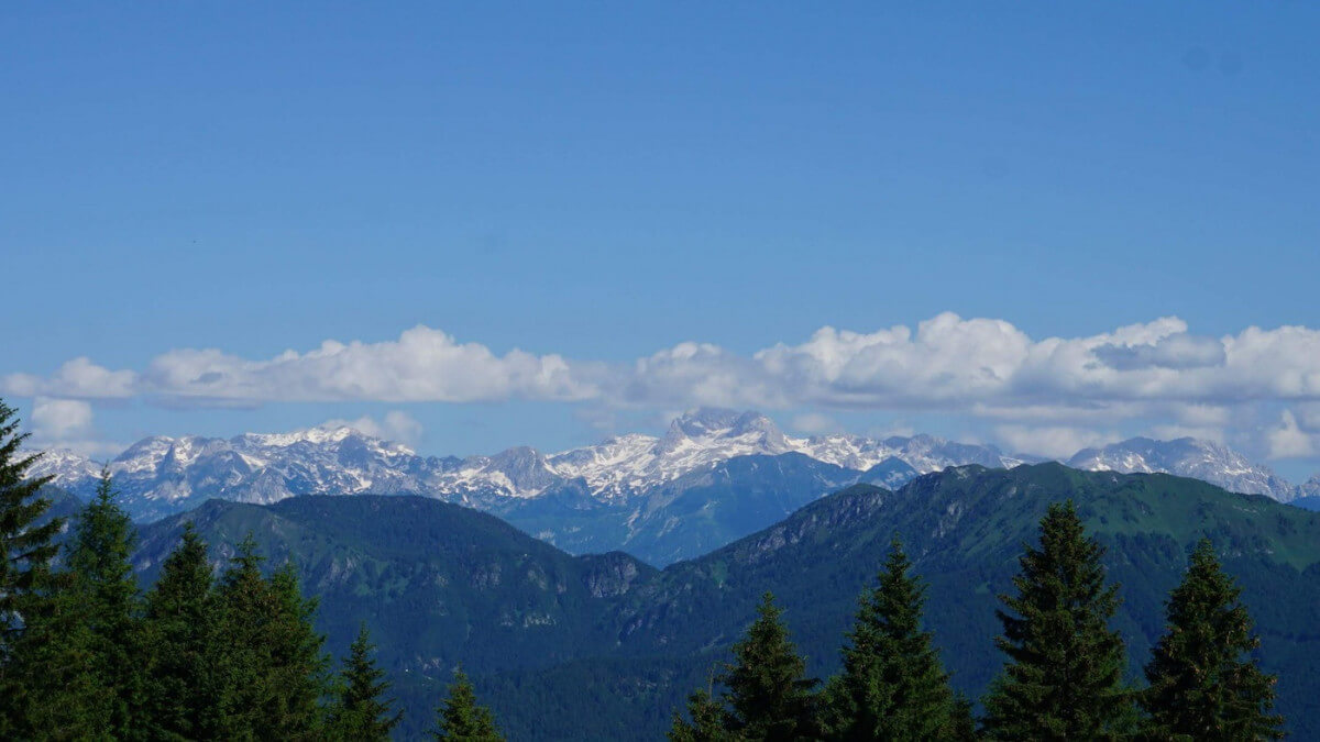 Why Are We So Tired? | Association of Nature and Forest Therapy (ANFT)