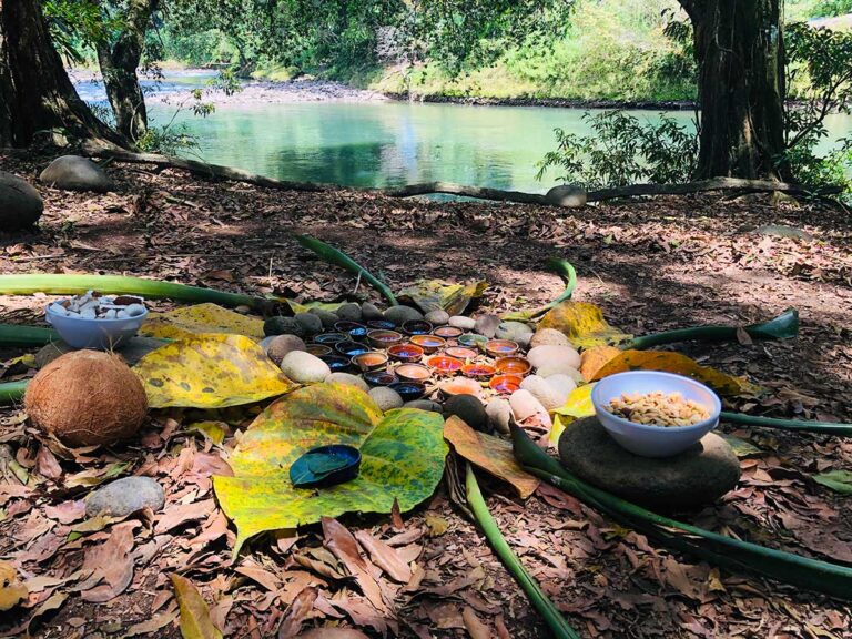 Forest Therapy Guide Training | Become A Certified Guide