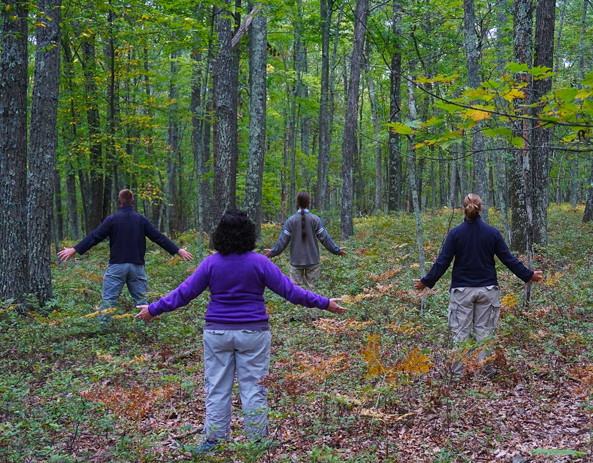 Forest Therapy Guide Training | Become A Certified Guide