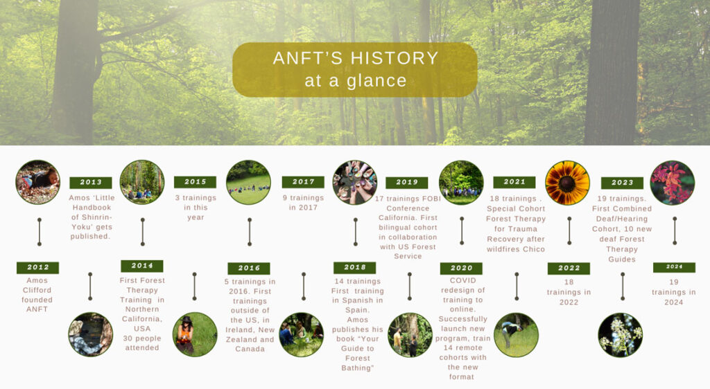 History And Lineage | Roots Of ANFT Forest Therapy & Bathing