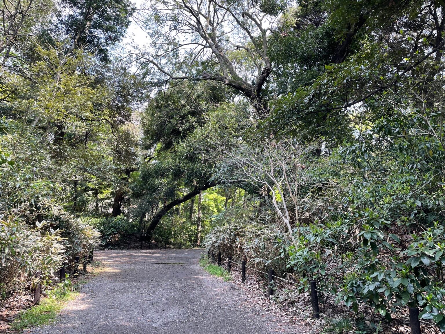 Taste of Forest Therapy - From the Ancient Asuka Village to an Urban ...
