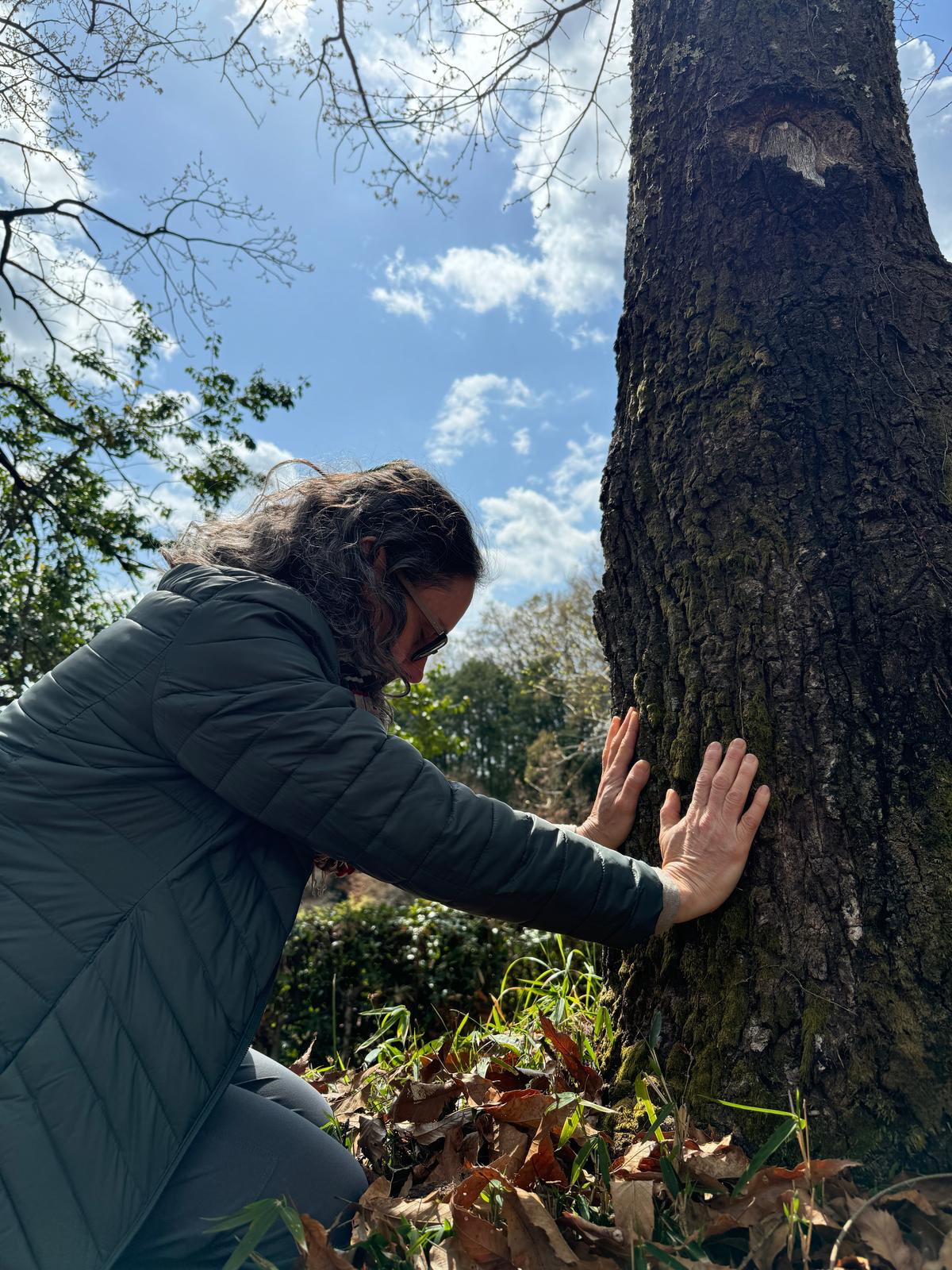 Taste of Forest Therapy - From the Ancient Asuka Village to an Urban ...